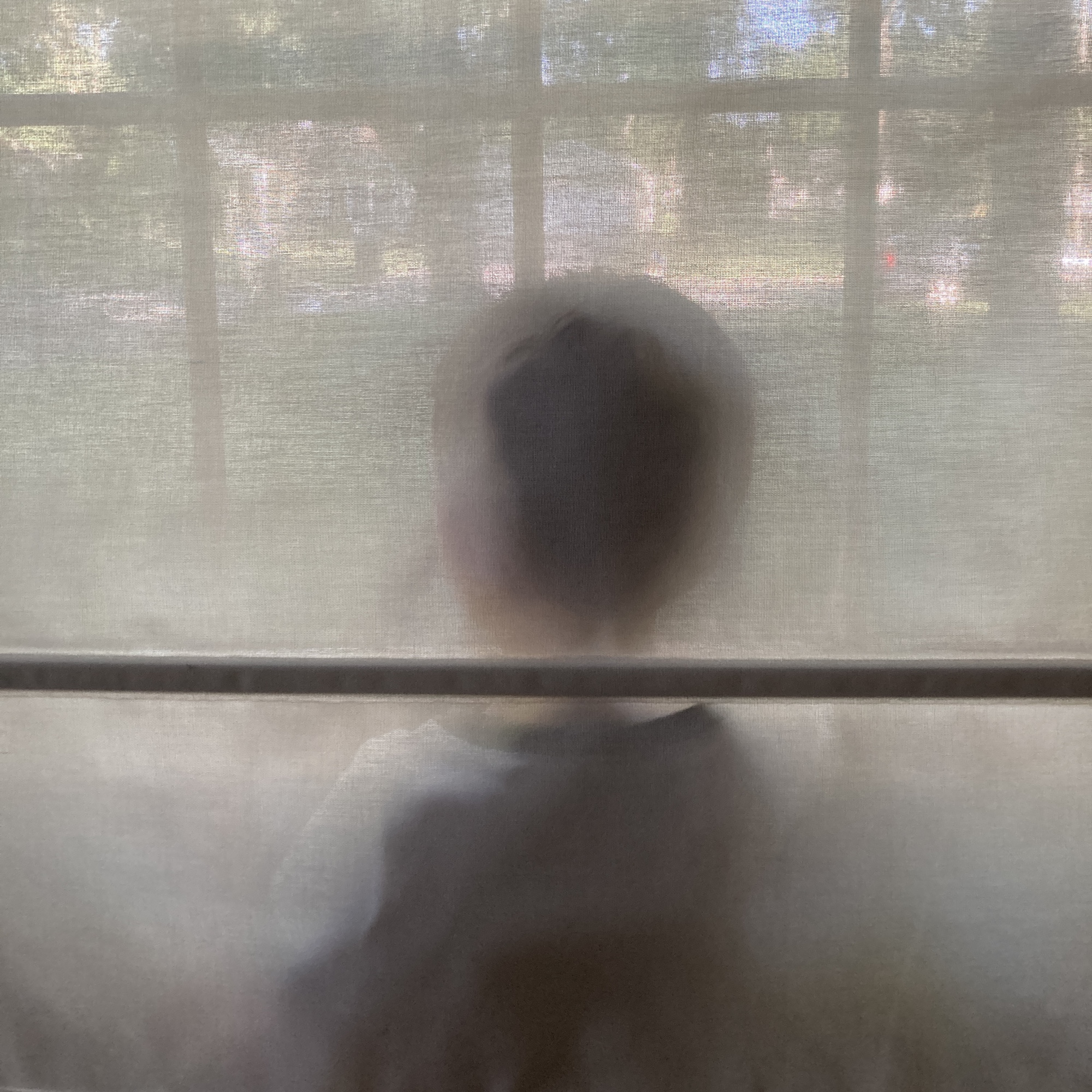 Recent Views – Chad Comello